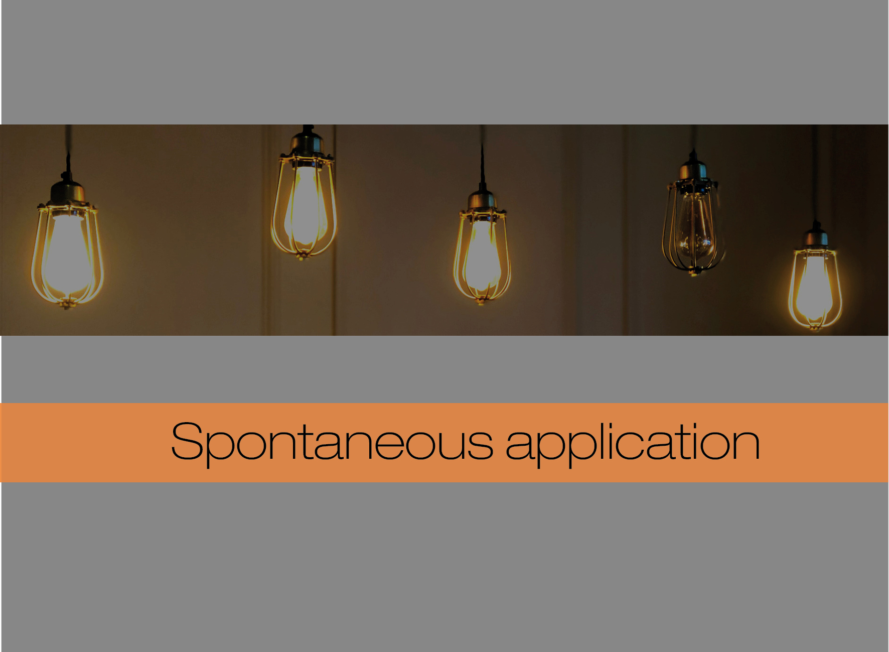 Spontaneous application | Michaud Export